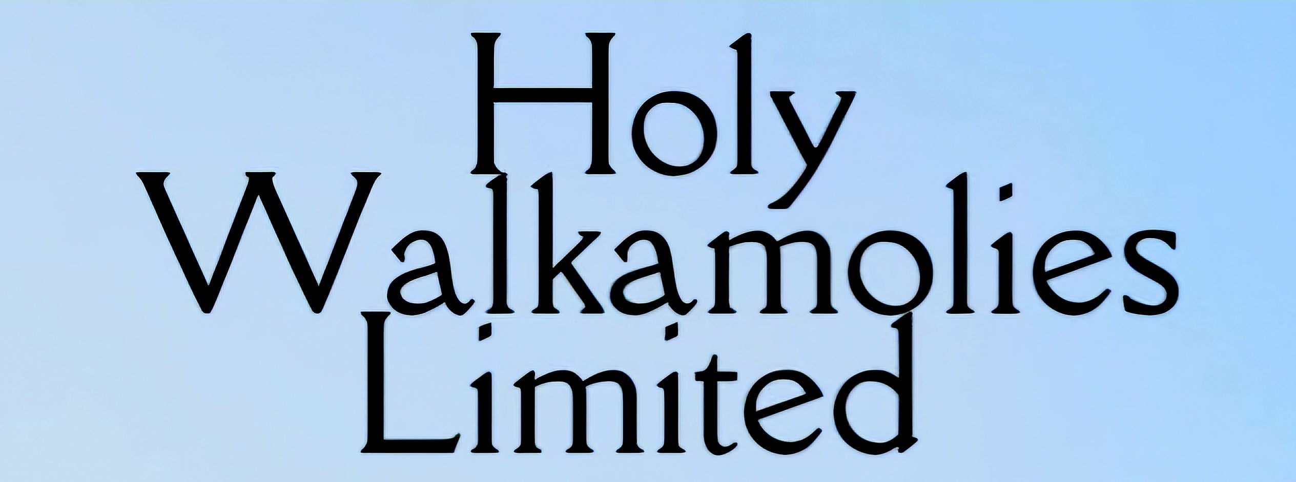 Antiques, Collectibles and Unique Finds for Everyone! – Holy ...
